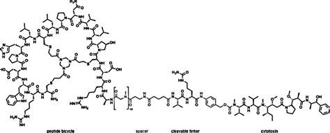 COA Of BT5528 Certificate Of Analysis AbMole BioScience
