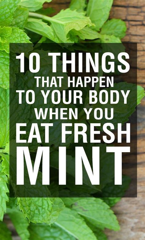 Things That Happen To Your Body When You Eat Fresh Mint With Images