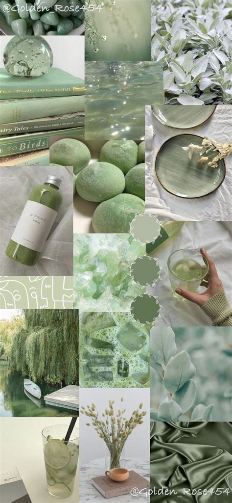 Sage Wallpaper 2021 Yeşil Resim Duvar kağıdı Green Aesthetic