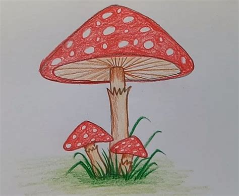 How To Draw A Cute Mushroom Mage Drawing Ideas