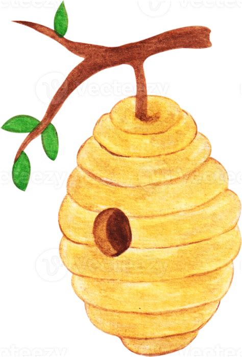 Watercolor Beehive Clip Art Png