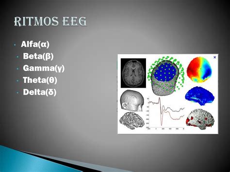 PPT ACTIVIDAD ELÉCTRICA DEL CEREBRO Y MECANISMO DE VIGILIA SUEÑO