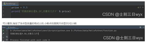 python基础 使用print 函数输出格式化字符串 阿里云开发者社区