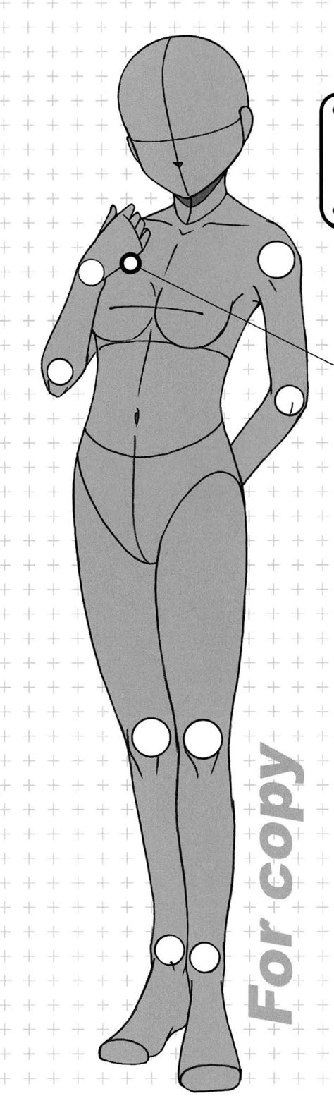Anime Girl Drawing Full Body Cardinals