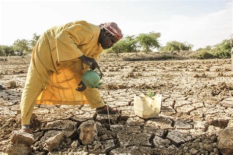 Global Hunger Continues To Rise New Un Report Says World Food Programme