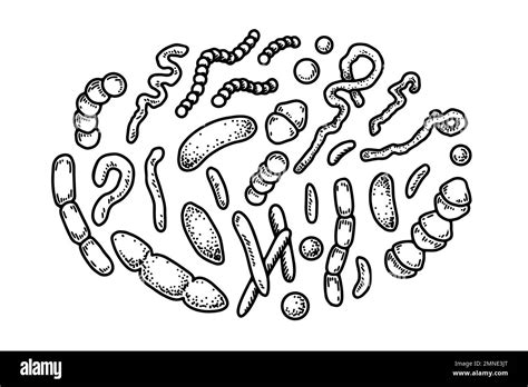 Conjunto de bacterias y microorganismos dibujados a mano Ilustración