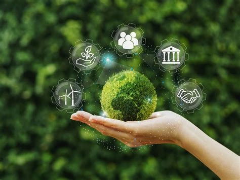 Sustentabilidade o que é conceito e seus tipos exemplos Toda