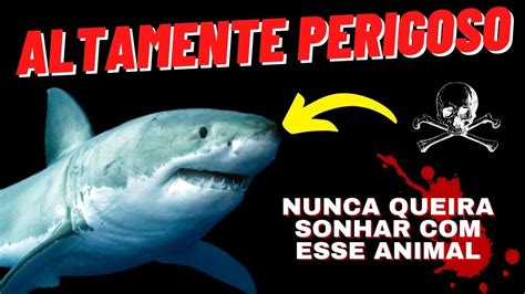 O que significa SONHAR TUBARÃO Sonhar TUBARAO é sinal de que