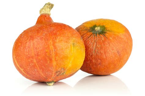 ᐅ Hokkaido Kürbis verbreitetsten Sorten