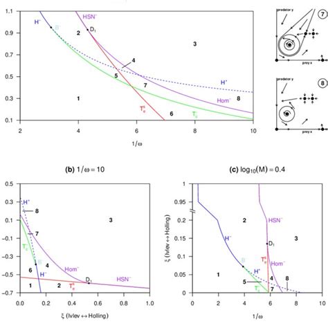 predator prey model three dimensional bifurcation diagram with a download scientific diagram