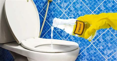 El Truco Genial Para Eliminar La Cal De Los Inodoros Ideas Parael