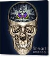 Human Head Mri And 3d Ct Scans Photograph By Zephyr