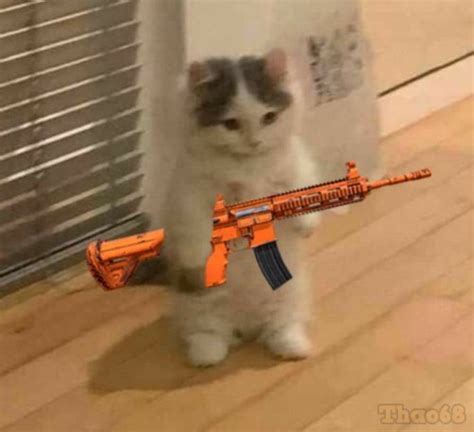 Chia sẻ về hình chế Ảnh mèo cầm súng Free Fire vui nhộn nhất