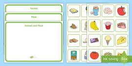 Where Does Food Come From Display Poster Where Does Food Come From A4