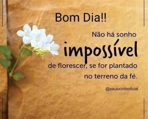 Pin By Rosangela Barbosa Da Silva On Bom Dia Words Quotes Positive