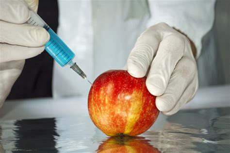 Alimentos transgénicos Ventajas y desventajas