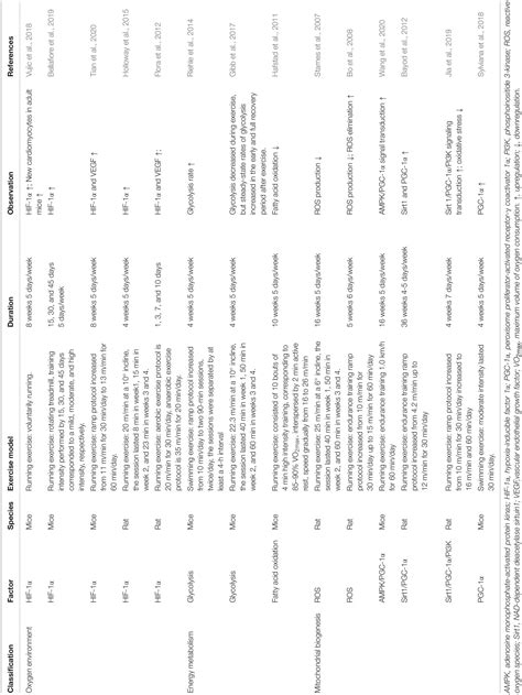 Frontiers The Regulatory Role Of Oxygen Metabolism In Exercise