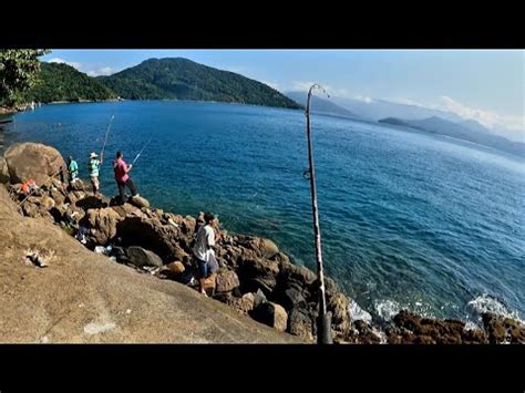 Nunca Vi Tanto Peixe Assim Em Uma Costeira De Ubatuba Pesca De