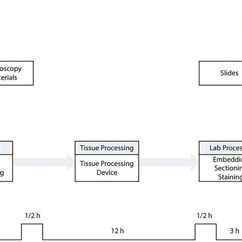 Current State Value Stream Map Value Stream Map Of The Pathology Unit
