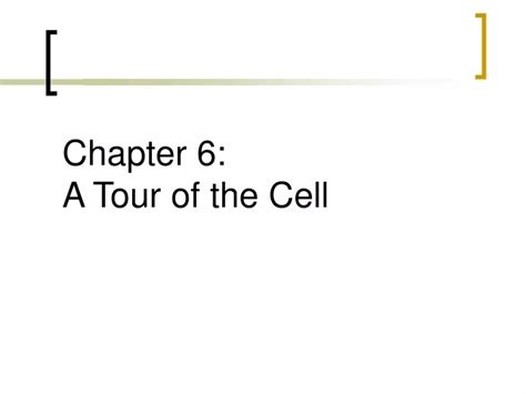 Ppt Chapter A Tour Of The Cell Powerpoint Presentation Id
