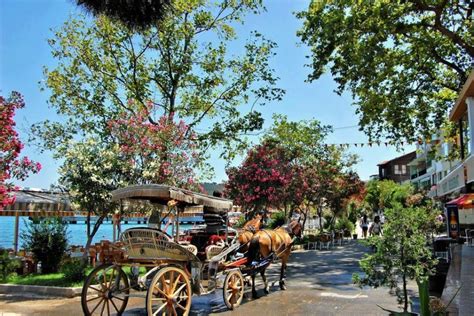 İstanbul Adalar Turu Tatil Adası Turizm