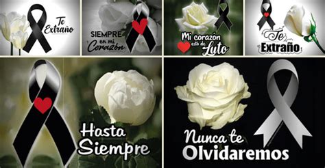 15 Nuevos Lazos De Luto Con Rosas Y FRASES Hasta Siempre Nunca Te