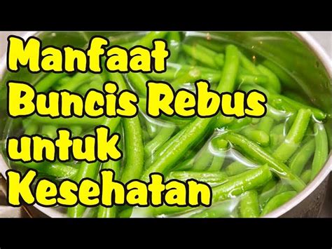 Temukan Manfaat Buncis Rebus Yang Jarang Diketahui Solider