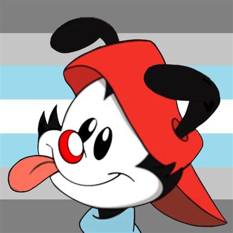 Wakko Demiboy Icon Dibujos Animados Bonitos Animaniacs Personajes