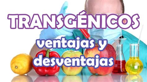 Cultivos Transgénicos Ventajas Y Desventajas