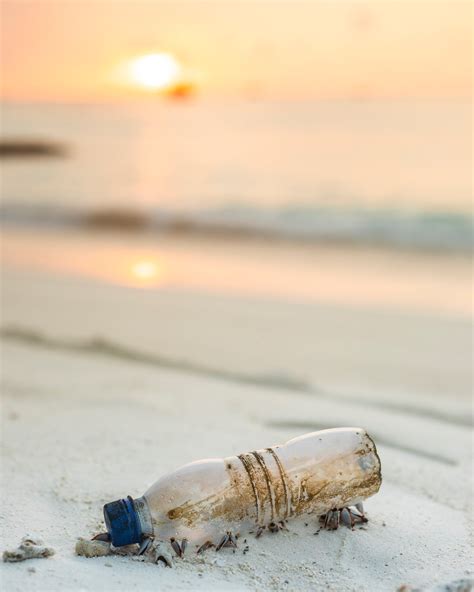 6 Simple Easy Ways To Help The Environment At Home At Work Loolz