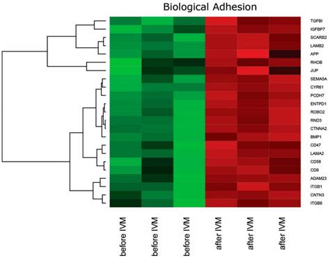 Heat Map Representation Of Differentially Expressed Genes Belonging To