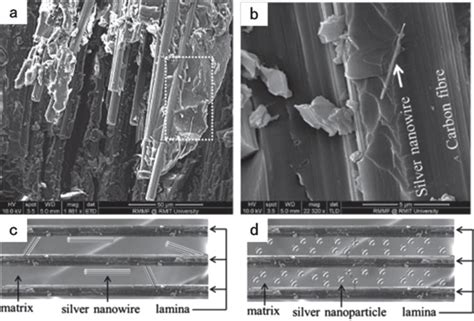 A B SEM Images Showing The Carbon Fiber Reinforced Epoxy Composite