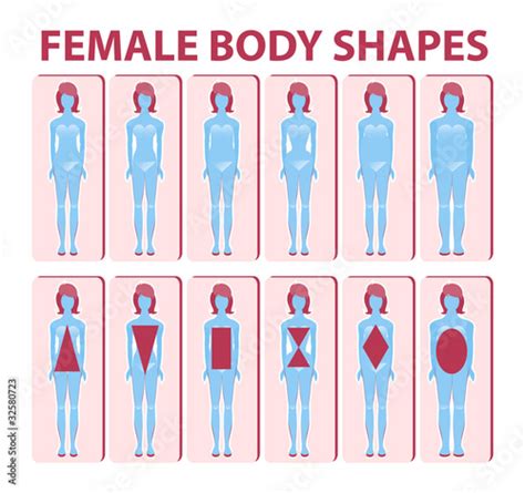 Female Body Shape Or Figure Types Woman Collection Body Propor Stock