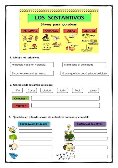 Los Sustantivos Ficha Interactiva Y Descargable Puedes Hacer Los Ejercicio Sustantivos Y Sus