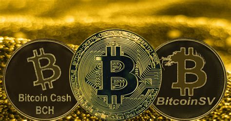 Bitcoin Btc Vs Bitcoin Cash Bch Vs Bitcoin Sv Bsv Currency
