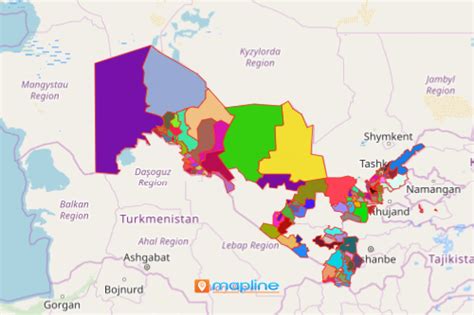 Use Mapline S Territory Mapping Software To Create An Uzbekistan Map