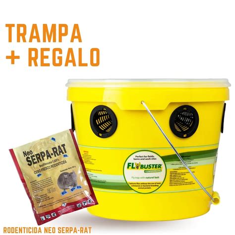 Trampa Para Moscas Casera Aprende C Mo Crearla