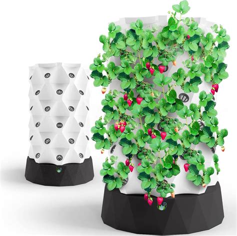 Amazon Nutraponics Hydroponics Growing System For Indoor