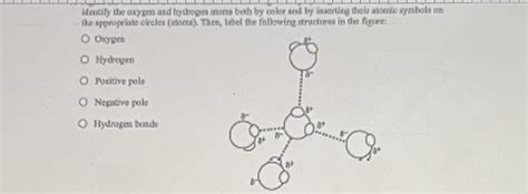Solved Figure Illustrates Five Water Molecules Held Chegg