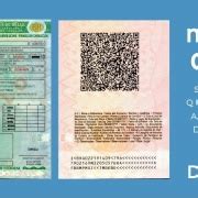 Novo Modelo De Cnh Come A A Ser Emitido Na Quarta Feira Detranrs