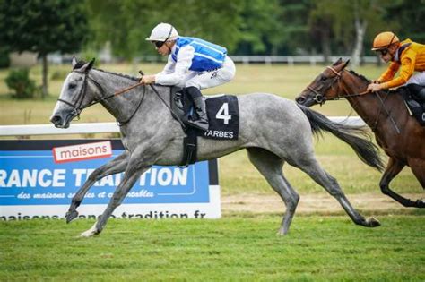 ANGELABA La fiche CANALTURF du cheval performances pmu pédigré