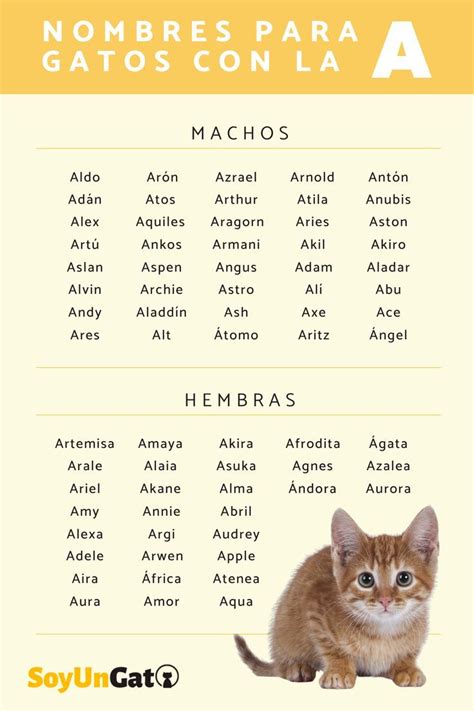 Nombres Para Gatos Con La A En Nombres Para Gatas Nombres Para