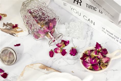 玫瑰花背景素材 玫瑰花背景模板 玫瑰花背景图片免费下载 设图网