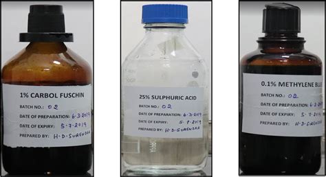 ZN Microscopy Staining Process Knowledge Base