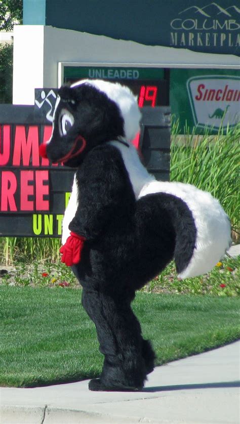 Boise Daily Photo Thats A Big Skunk