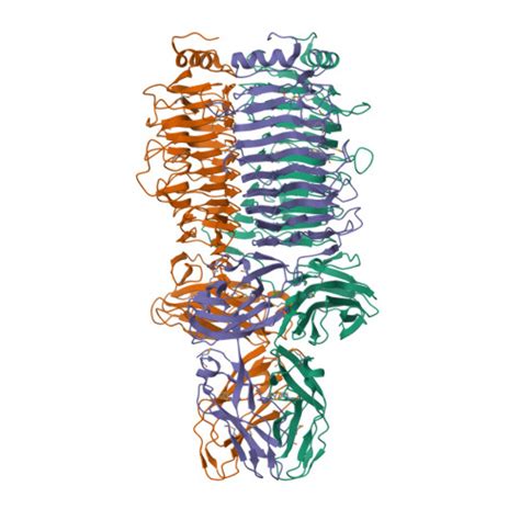 RCSB PDB 6TKU Crystal Structure Of A Capsule Specific Depolymerase