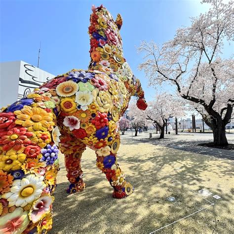 K Arihara Kitasato Univ Japan On Twitter Rt
