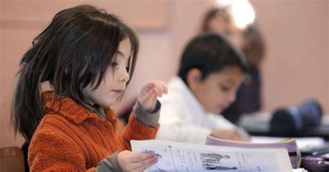 Cerveau Les Quatre Piliers De L Apprentissage L Express