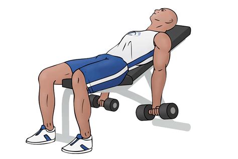 Incline Dumbbell Curl