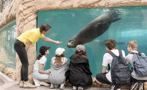 Marineland Antibes France Avis Prix Billets Horaires Guide